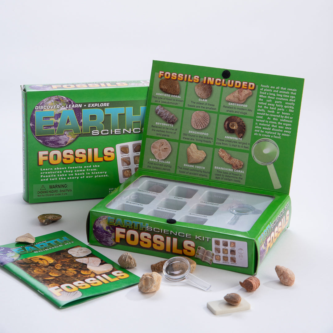 Earth Science Kit - Fossils – Paleontological Research Institution