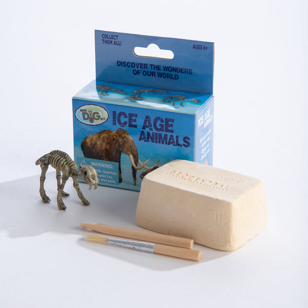 Ice Age Dig Kit – Paleontological Research Institution