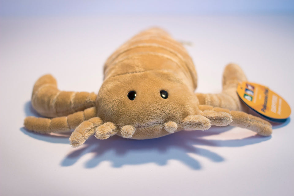 Paleozoic Pals Eurypterid Plush (Eurypterus) – Paleontological Research ...