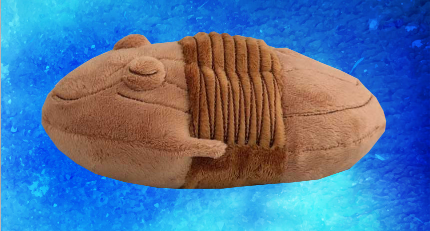 Paleozoic Pals Trilobite Plush (Isotelus) – Paleontological Research ...