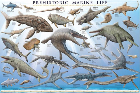 Prehistoric Marine Life Poster – Paleontological Research Institution